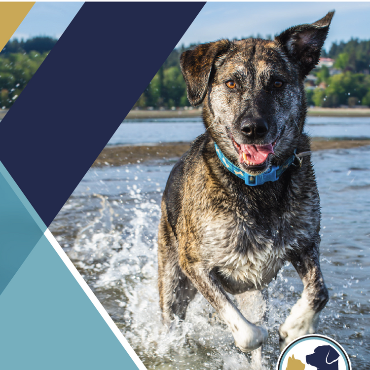 Catalogs – RX Vitamins